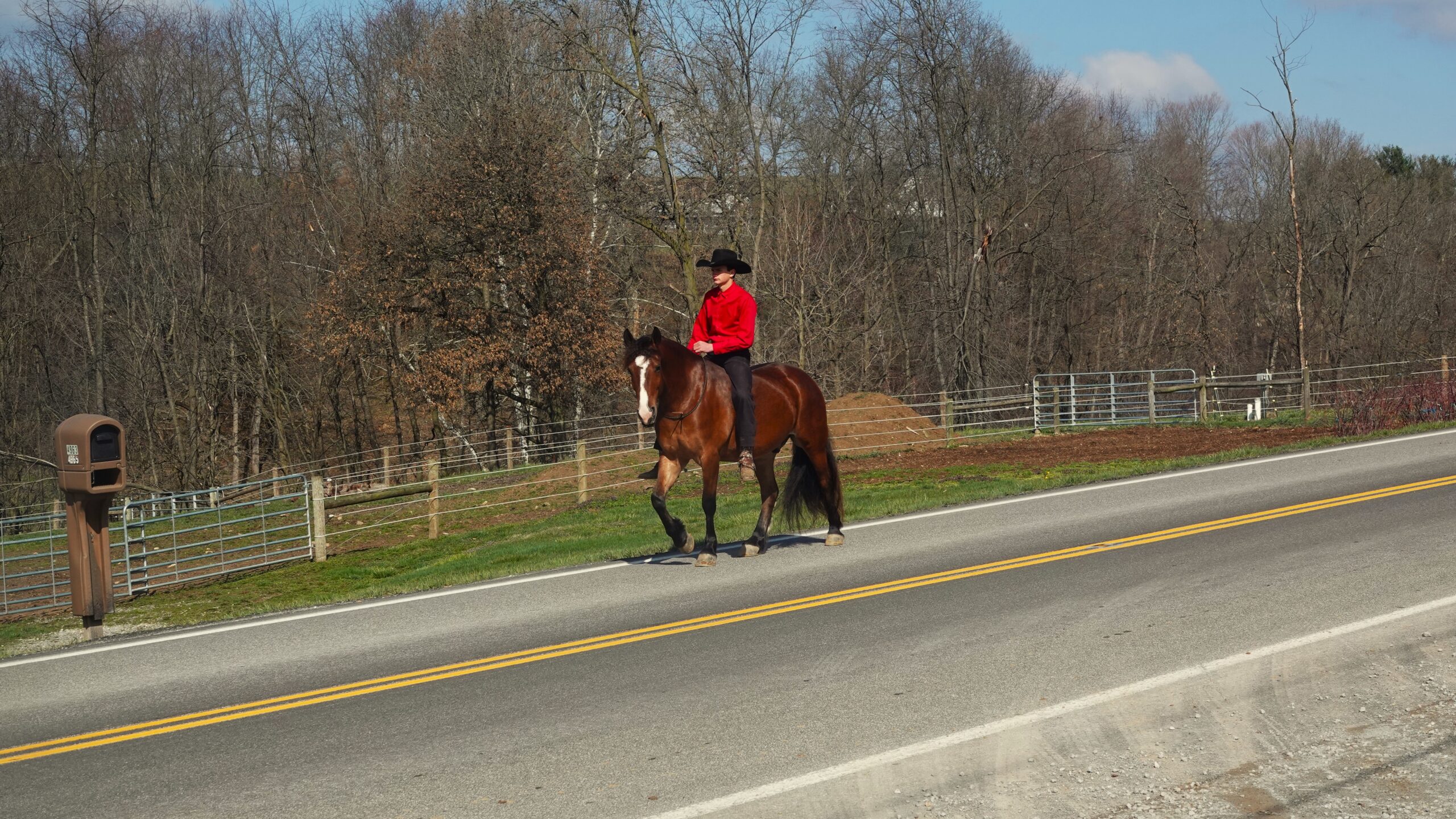 Rawhide – Buckeye Acre Farm