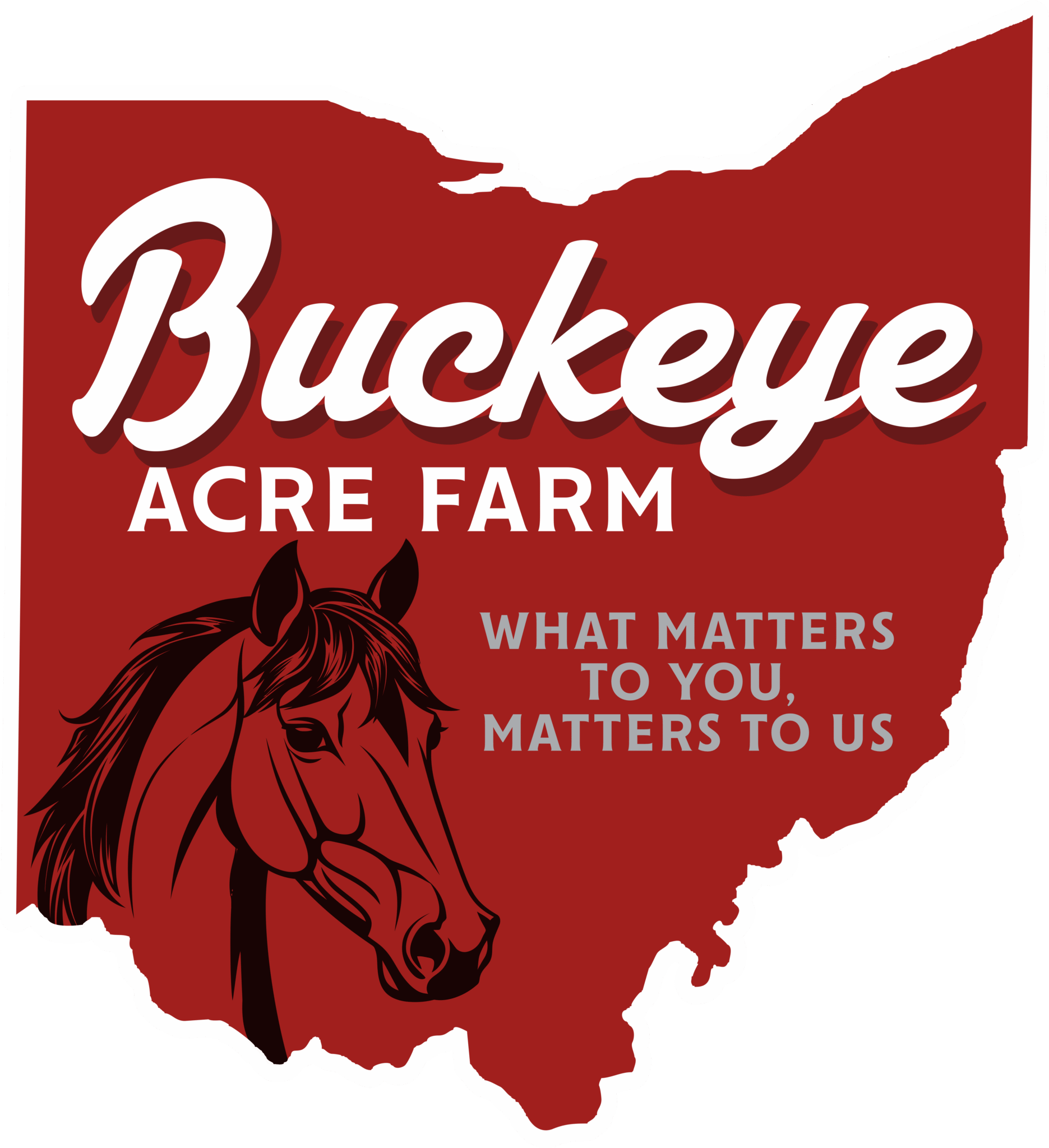 Horses For Sale - Buckeye Acre Farm | Well Trained Horses